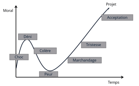 Les 7 étapes de la courbe émotionnelle du changement | CHUCK&CO